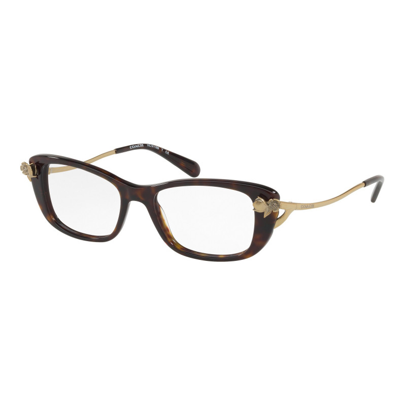 Eyeglasses Coach HC 6118 B 5485 Dark Tortoise